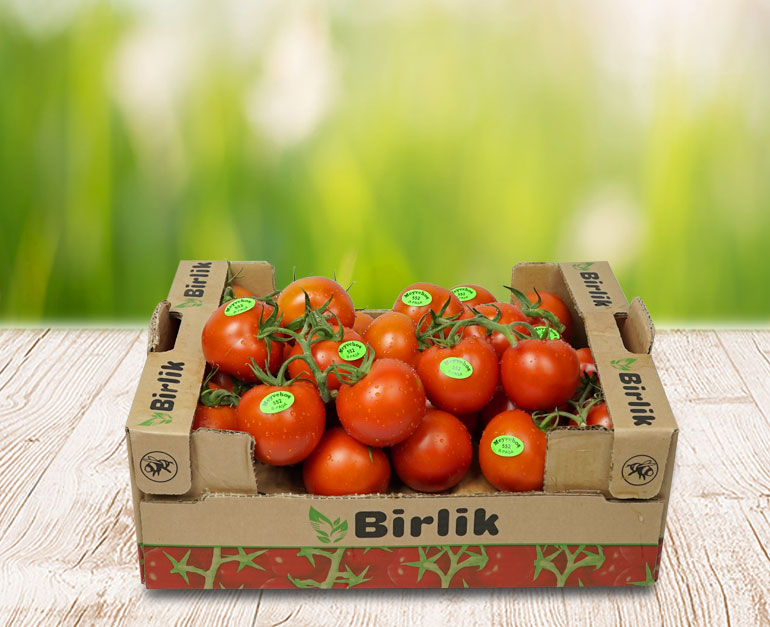 Birlik Salkım Domates – Meyve Hoş