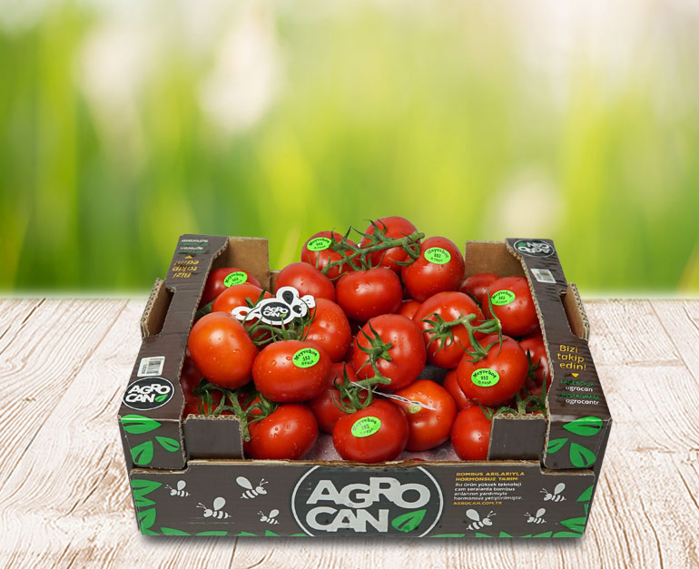 Agrocan Salkım Domates – Meyve Hoş