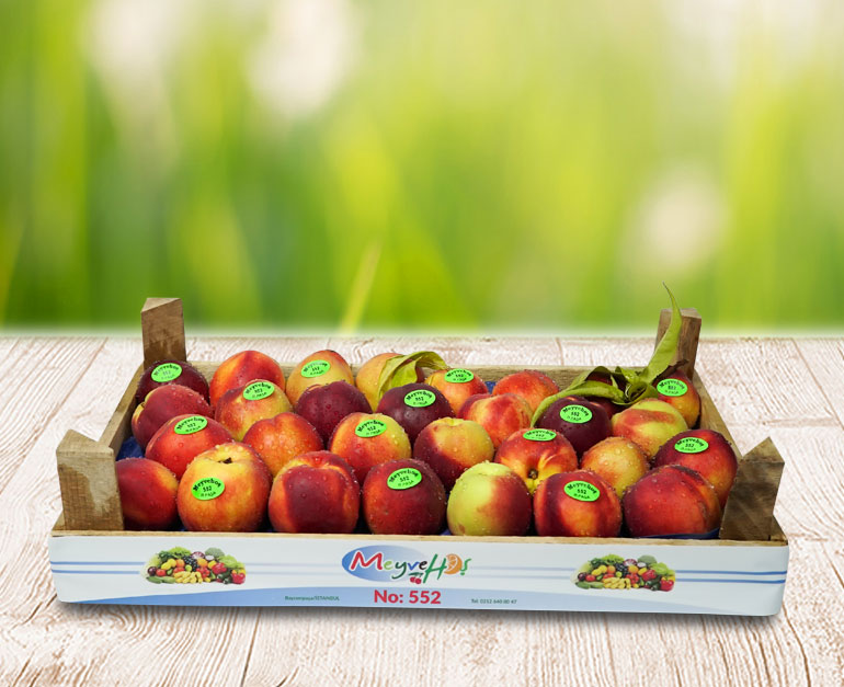 Nektarin – Meyve Hoş